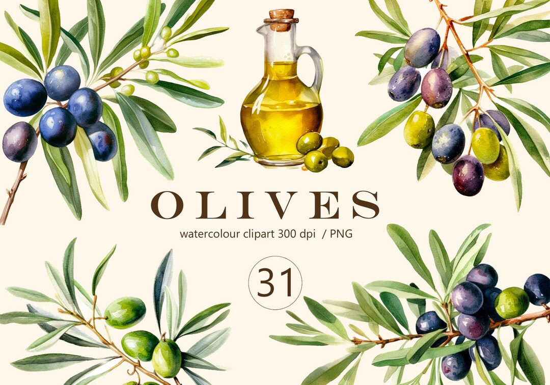Olives Watercolor Clipart, Digital Print, Olive Oil Illustration, Olive ...