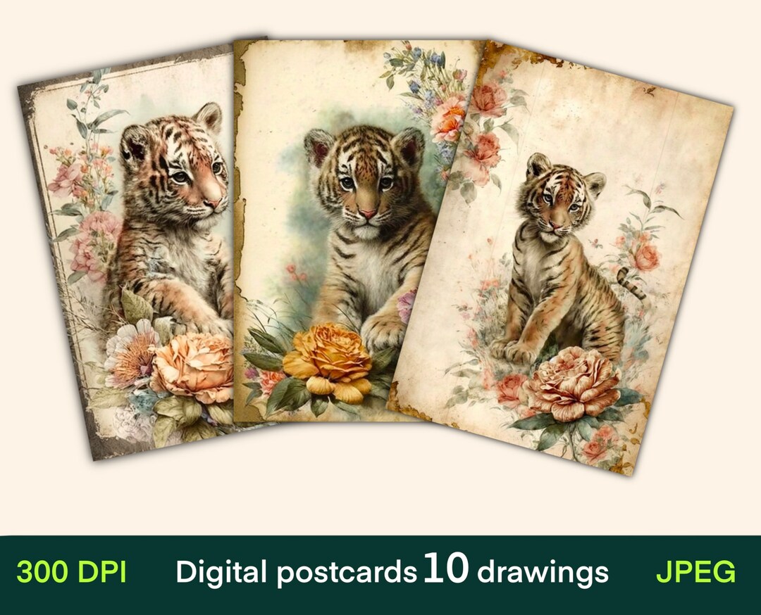 Tiger Digital Cards, Journal Cards, Vintage Postcards Print, Digital ...
