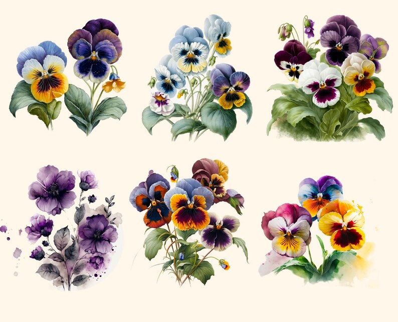Pansies and Violet Clipart Watercolor Png Flowers Digital - Etsy