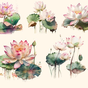 Water Lily Clipart Watercolor Png, Flowers Digital Print, Lotus Flower ...