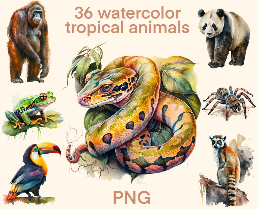 Tropical Animals Watercolor Clipart Png, Cute Animals Digital Print ...