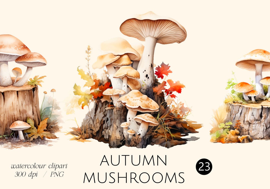 Autumn Mushrooms, Forest Dwellers, Autumn Watercolor Clipart Png, Fall ...