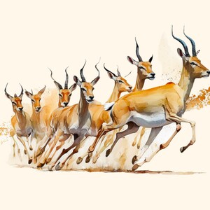 Watercolor Animals, Savannah Clipart Png, Cute 25 Animals Digital Print ...