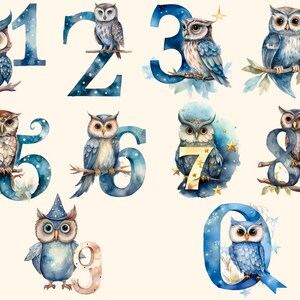 Letters and Numbers With Owl, Alphabet Watercolor Png, 36 Floral ...