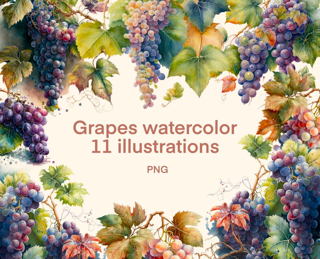Grapes Clipart Sublimation Download Watercolor, Digital Print, Grapes ...