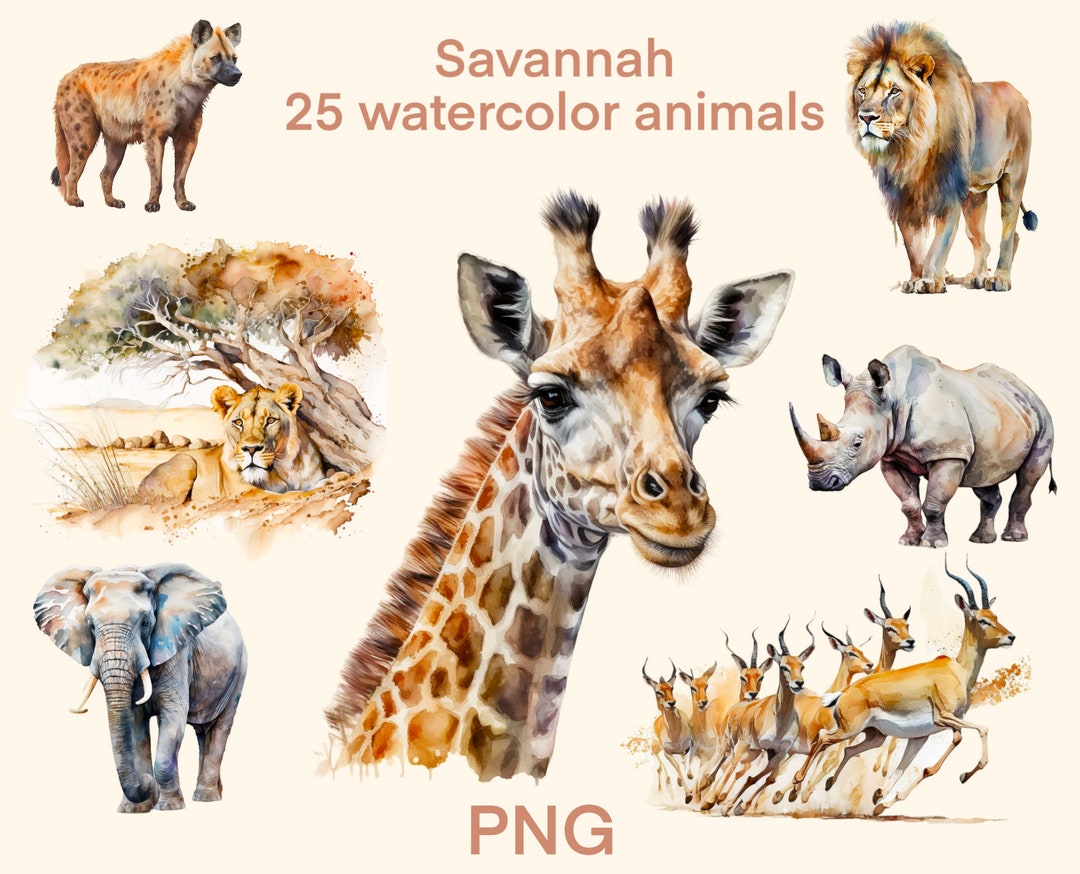 Watercolor Animals, Savannah Clipart Png, Cute 25 Animals Digital Print ...