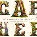 Forest Alphabet Watercolor Png, Alphabet With Mushrooms 26 Floral ...