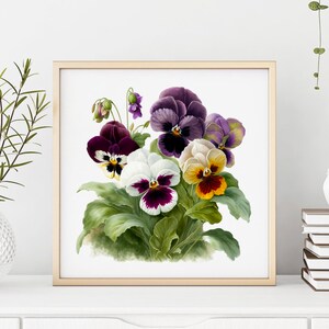 Pansies and Violet Clipart Watercolor Png, Flowers Digital Print ...