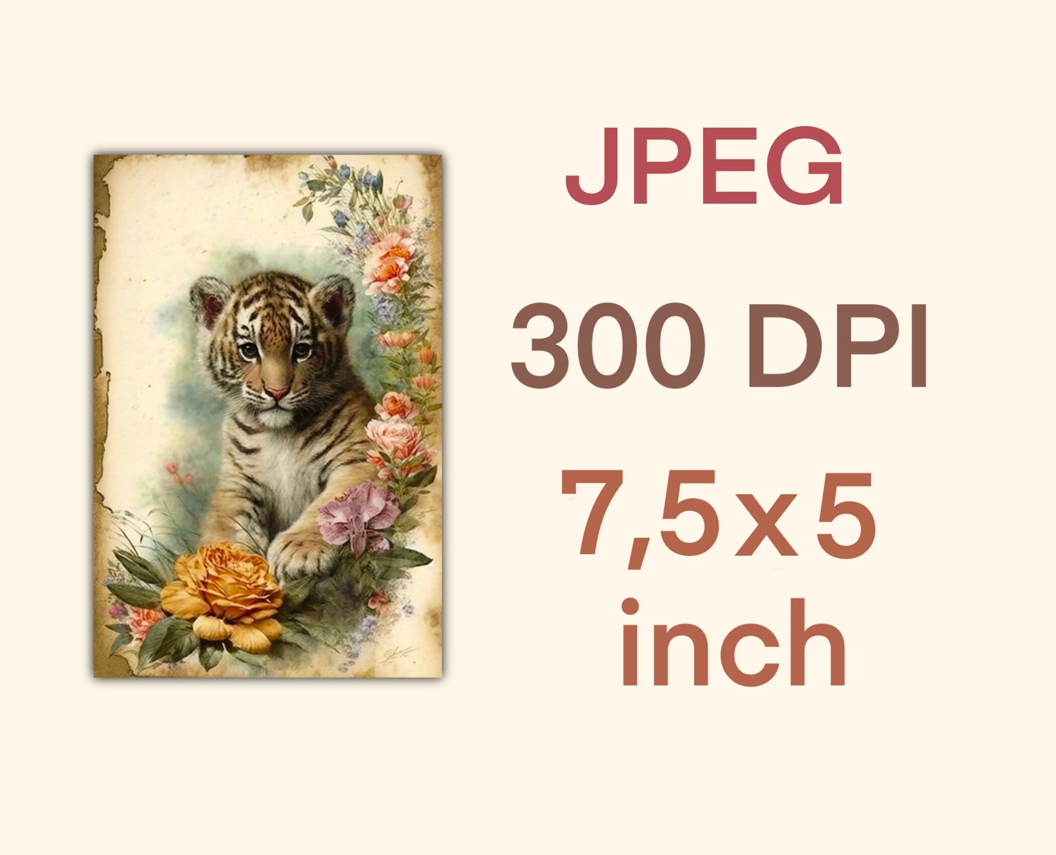 Tiger Digital Cards Journal Cards Vintage Postcards Print - Etsy