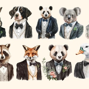 Zoo Style, Animals in Suits, Tailcoat and Bow Tie, Classic Men's Suit ...