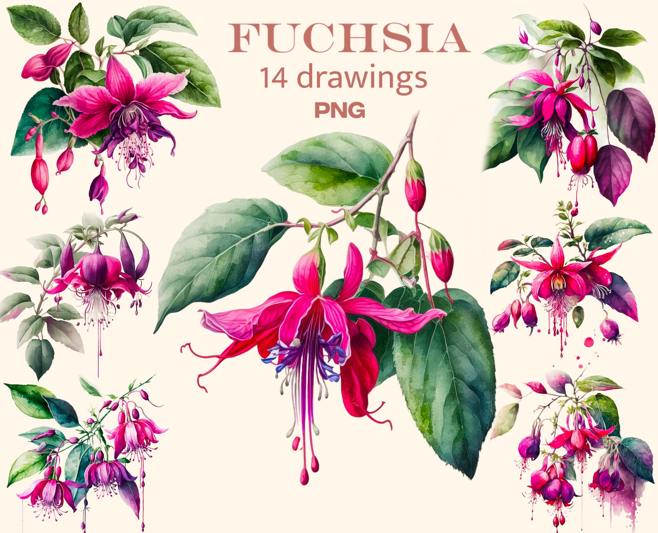 Fuschia Flower Clip Art
