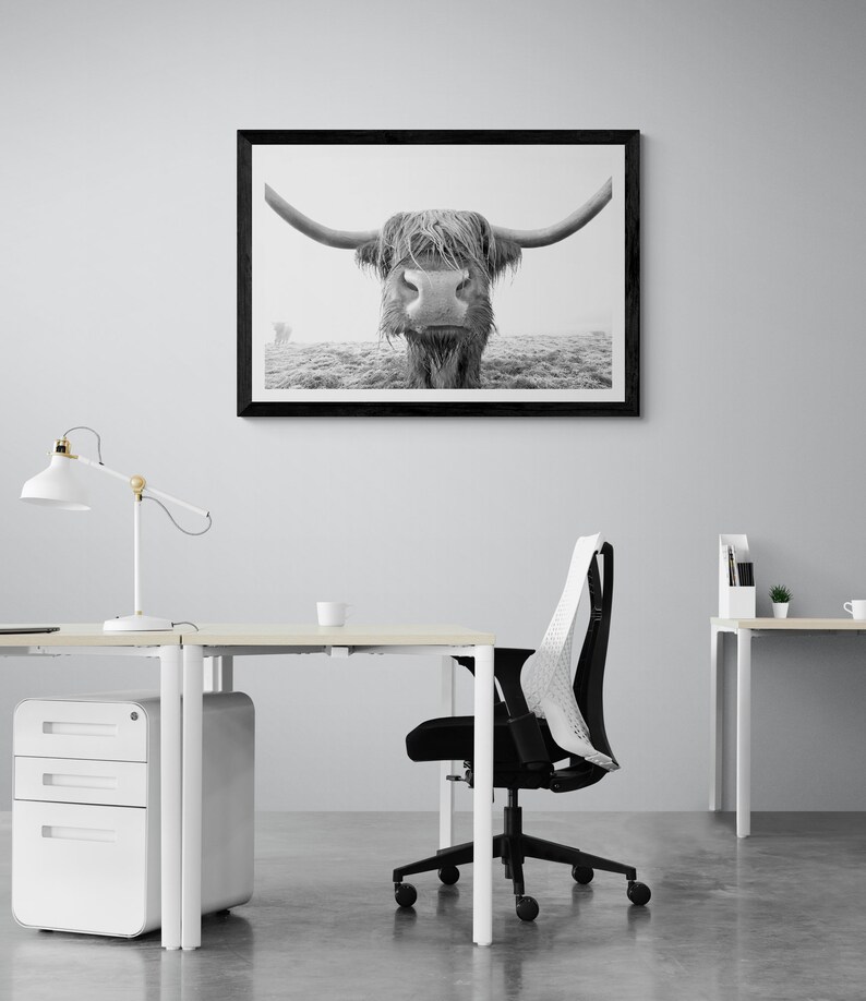 Black & White Cow Print Highland Cow Photo DIGITAL - Etsy