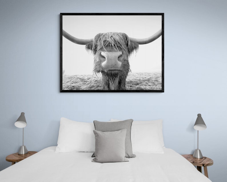 Black & White Cow Print Highland Cow Photo DIGITAL - Etsy