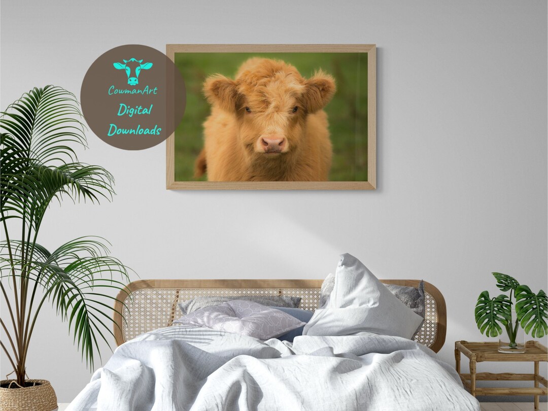 Baby Cow Art Print - DIGITAL DOWNLOAD - Nursery Farm Animal - Farmhouse ...