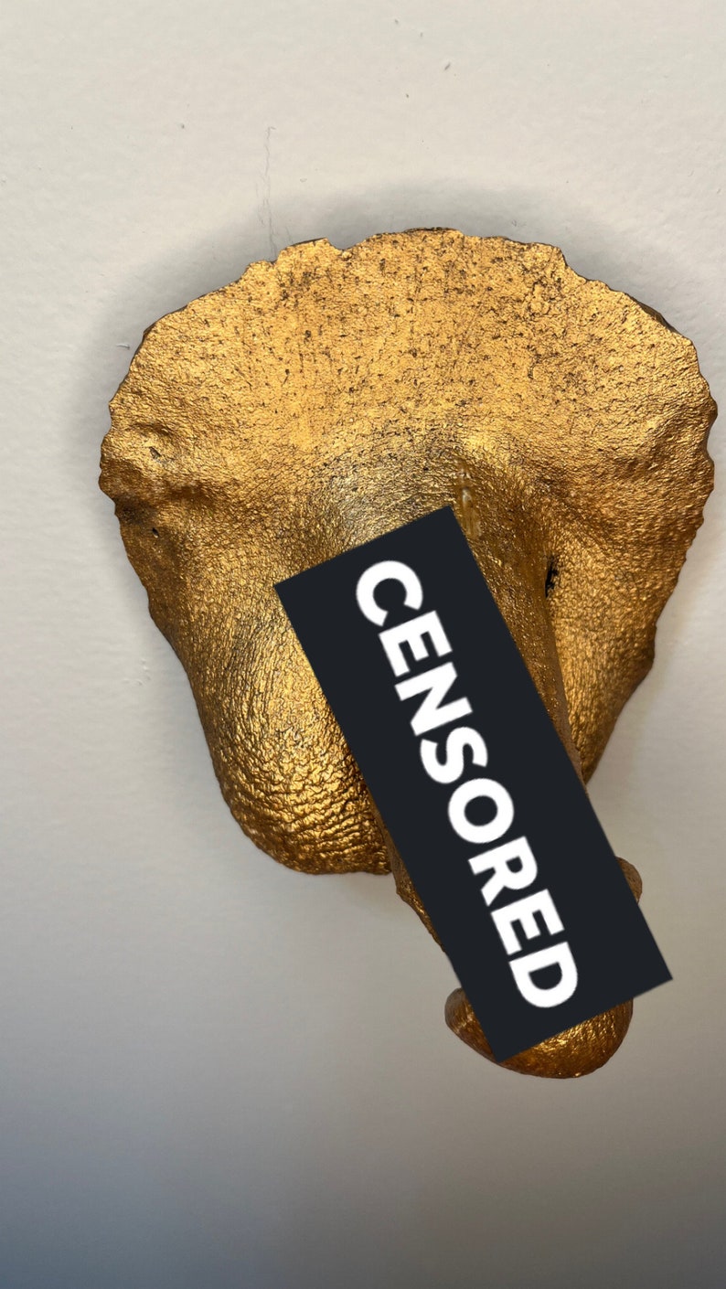 Flaccid Penis Lifecast Sculpture - Etsy