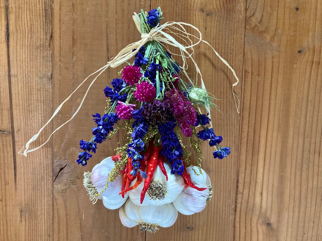Small Organic Garlic and Chili Braid, Organic Homegrown Garlic Braid ...