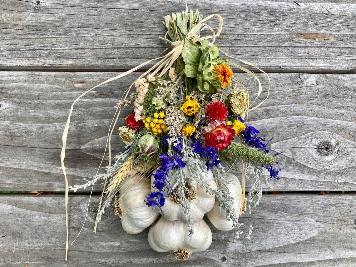 Set of TWO Small Organic Garlic Braids, Free Shipping, Italian House ...