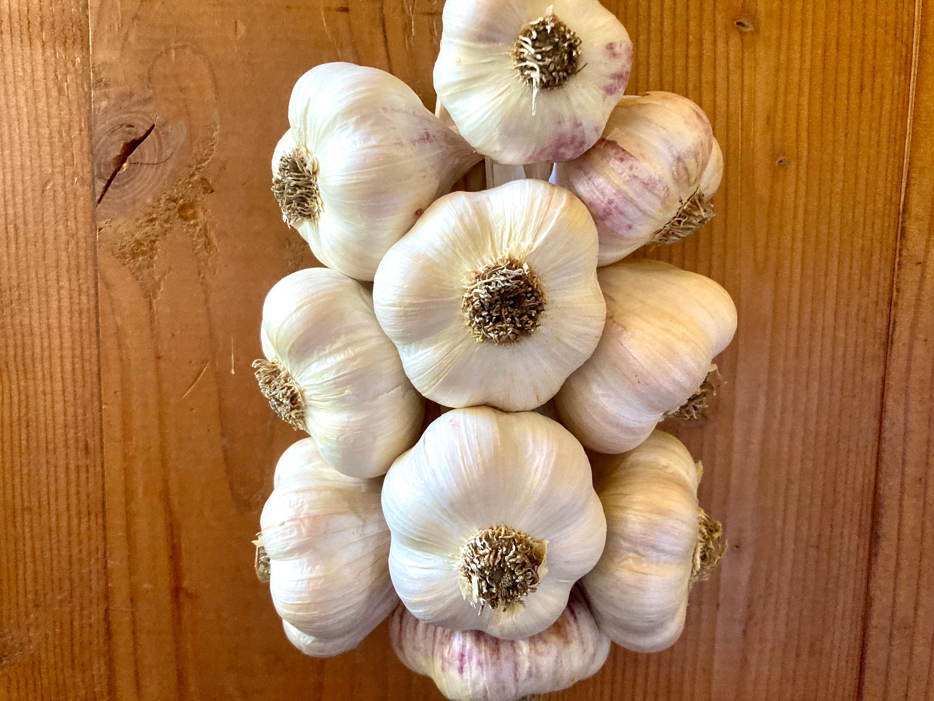 Organic Garlic Braid Edible Art Kitchen Decor - Etsy UK