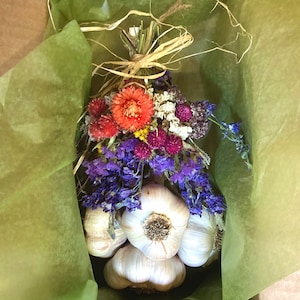 Small Organic Garlic and Chili Braid, Organic Homegrown Garlic Braid ...