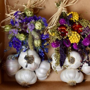 Set of 2 Mini Braids, Organic Garlic Braids, Free Shipping, Edible Art ...