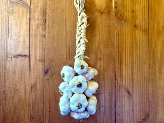 Organic Garlic Braid Edible Art Kitchen Decor | Etsy