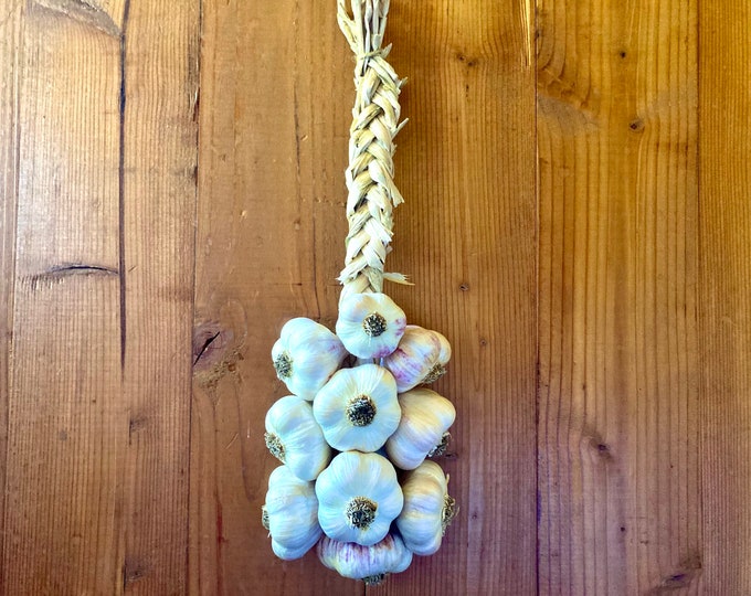 Medium Garlic Braid - Etsy Canada