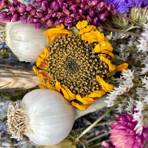 Organic Garlic Sprays, Custom Colors Available, Bulk Discount, Wall and ...