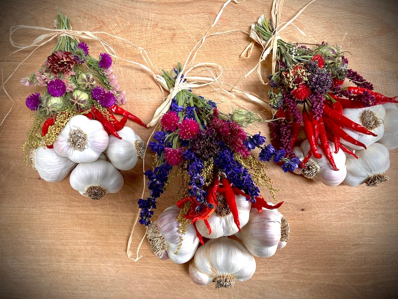 Small Organic Garlic and Chili Braid, Organic Homegrown Garlic Braid ...