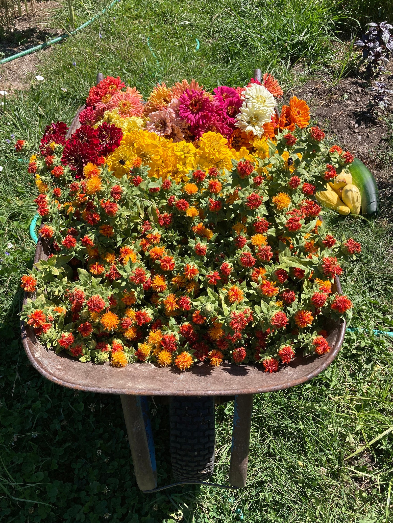 Double Floral Broom, 48 In, Wedding Besom Stick, Fall Decor, for Good ...