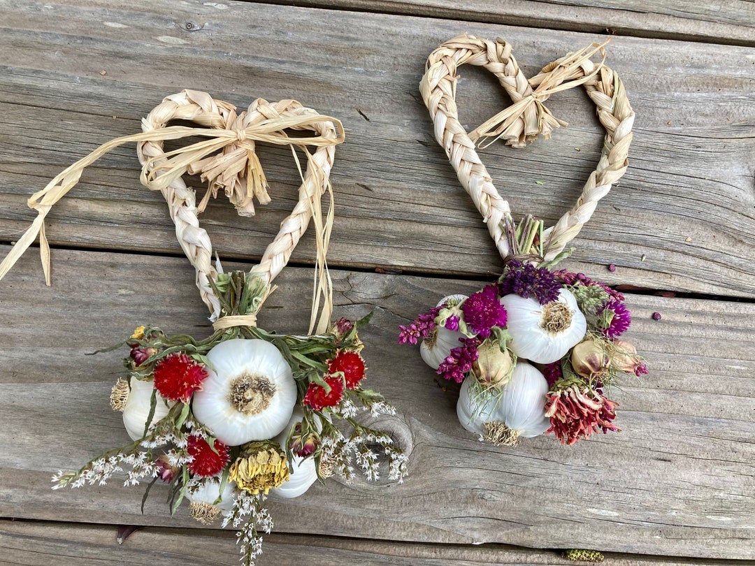 Small Garlic Heart Braid, Edible Art, Organic, Free Shipping, Italian ...