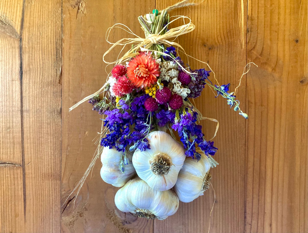 Small Decorated Organic Garlic Braid, Free Shipping, Italian House ...