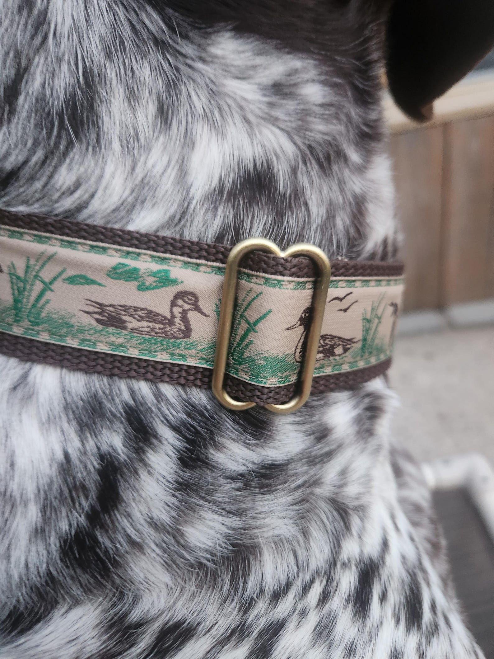 Handmade Duck Collar. Coco Collar. Green and Brown Jacquard Ribbon. for ...