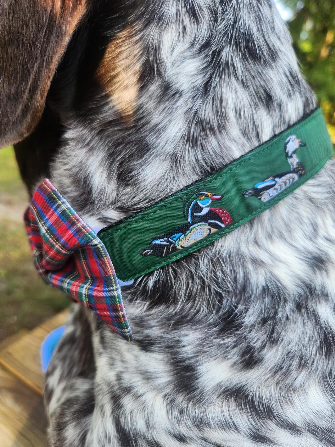 Handmade Duck Dog Collar: Green Jacquard Ribbon With Plaid Bow Tie - Etsy