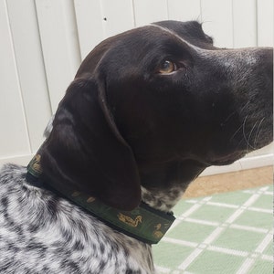 Handmade Duck Collar. Fisher Collar. Green and Blue Jacquard Ribbon ...
