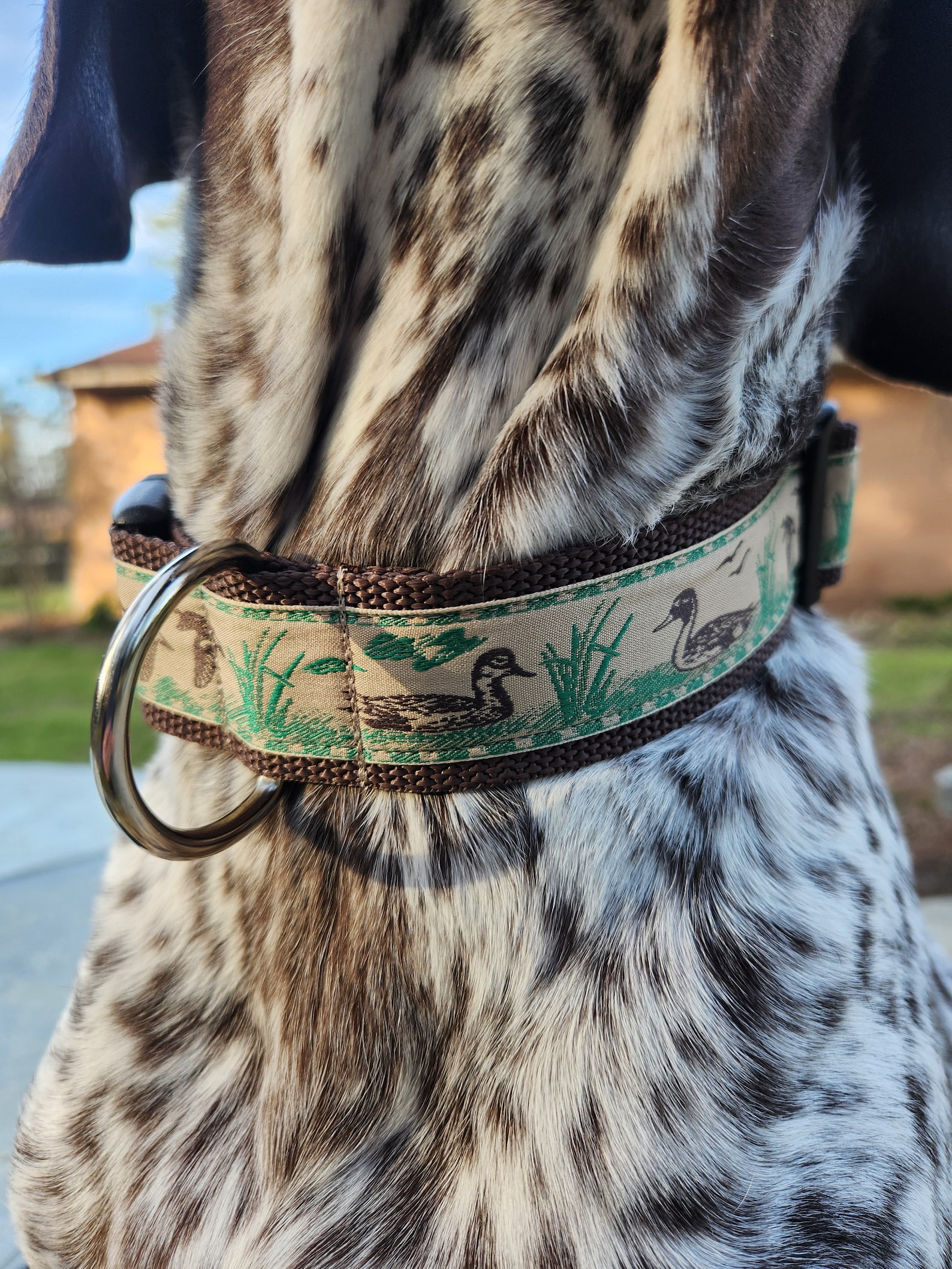 Handmade Duck Collar. Coco Collar. Green and Brown Jacquard Ribbon. for ...