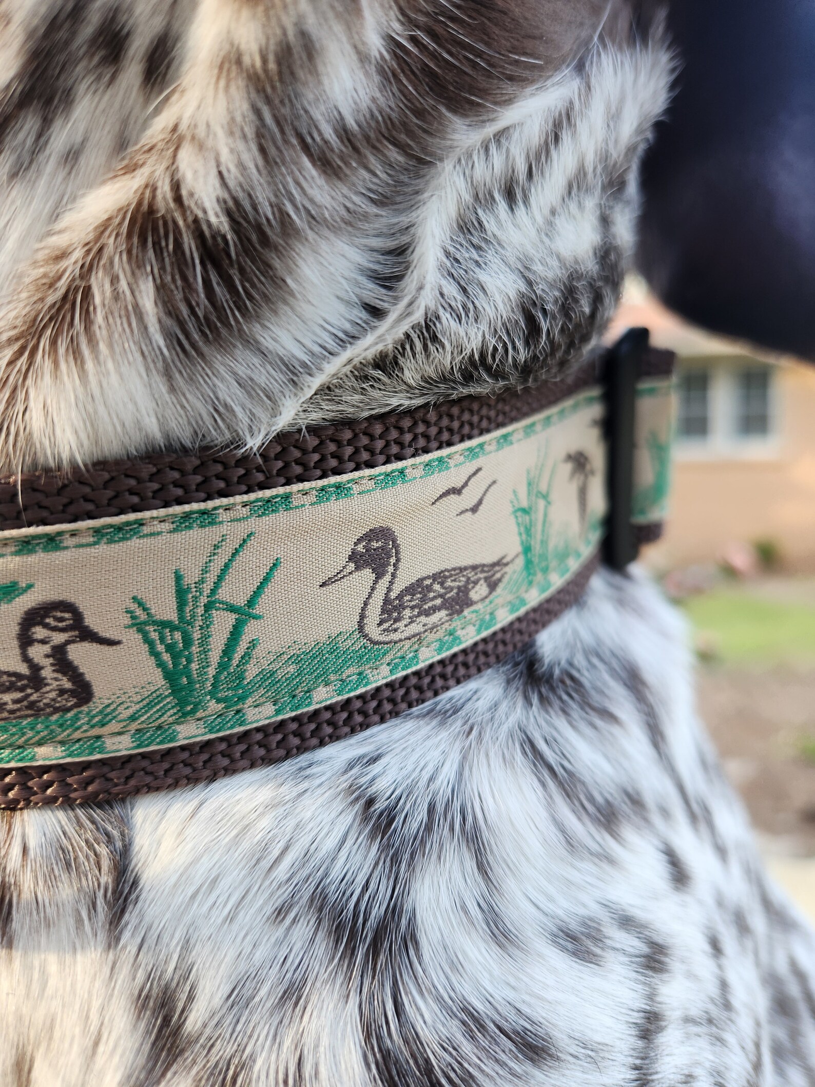 Handmade Duck Collar. Coco Collar. Green and Brown Jacquard Ribbon. for ...