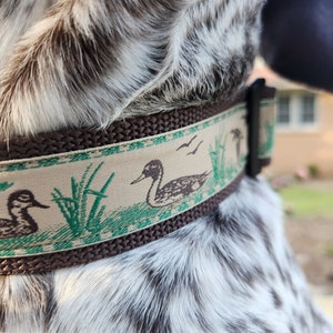 Handmade Duck Collar. Coco Collar. Green and Brown Jacquard Ribbon. for ...