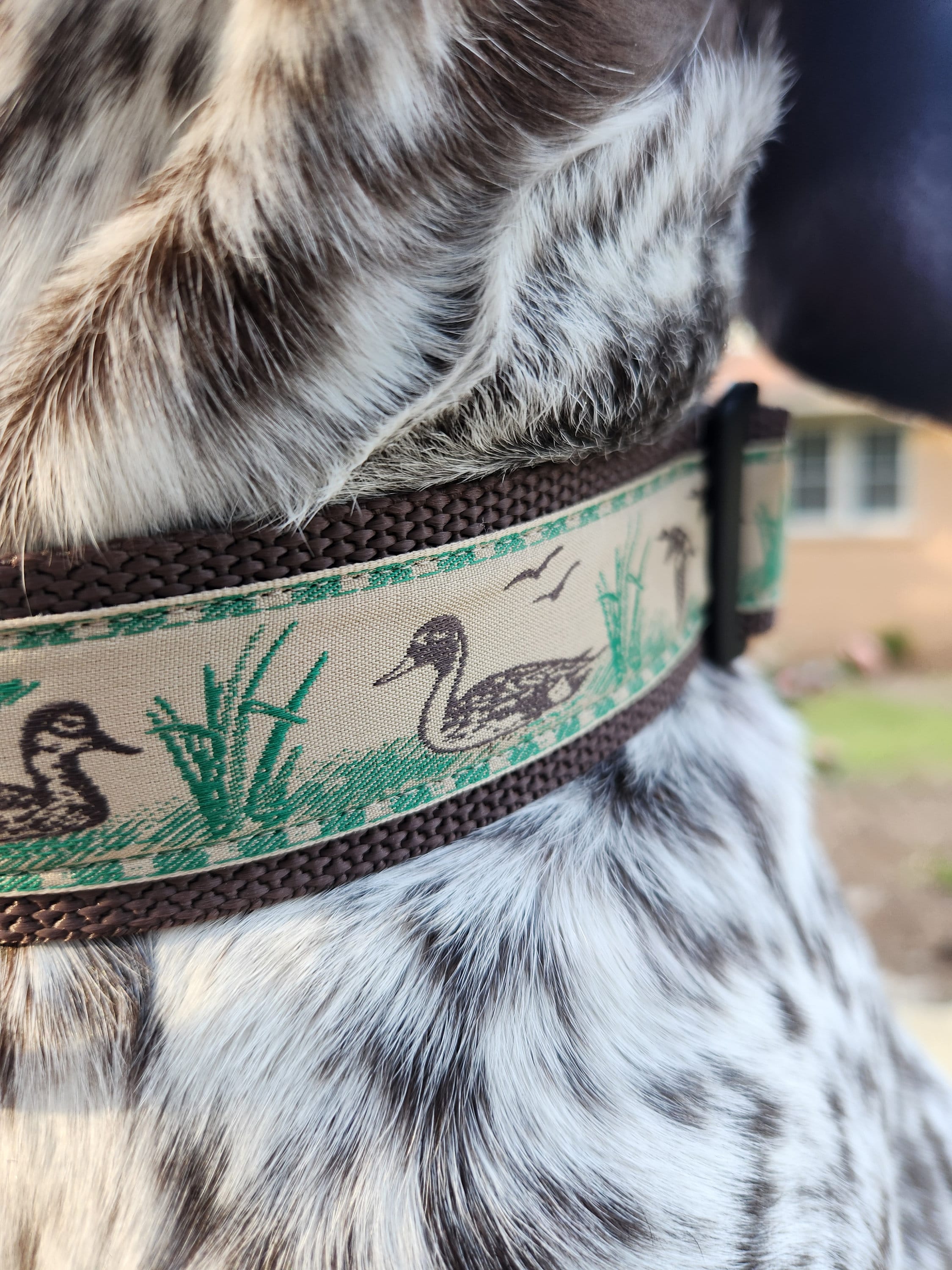 Handmade Duck Collar. Coco Collar. Green and Brown Jacquard Ribbon. for ...