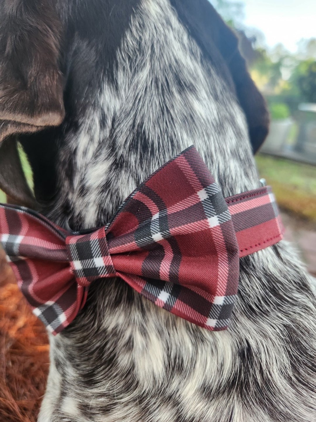 Handmade Dog Collar With Bow Tie or Flower. Garnet and Back Plaid Check ...