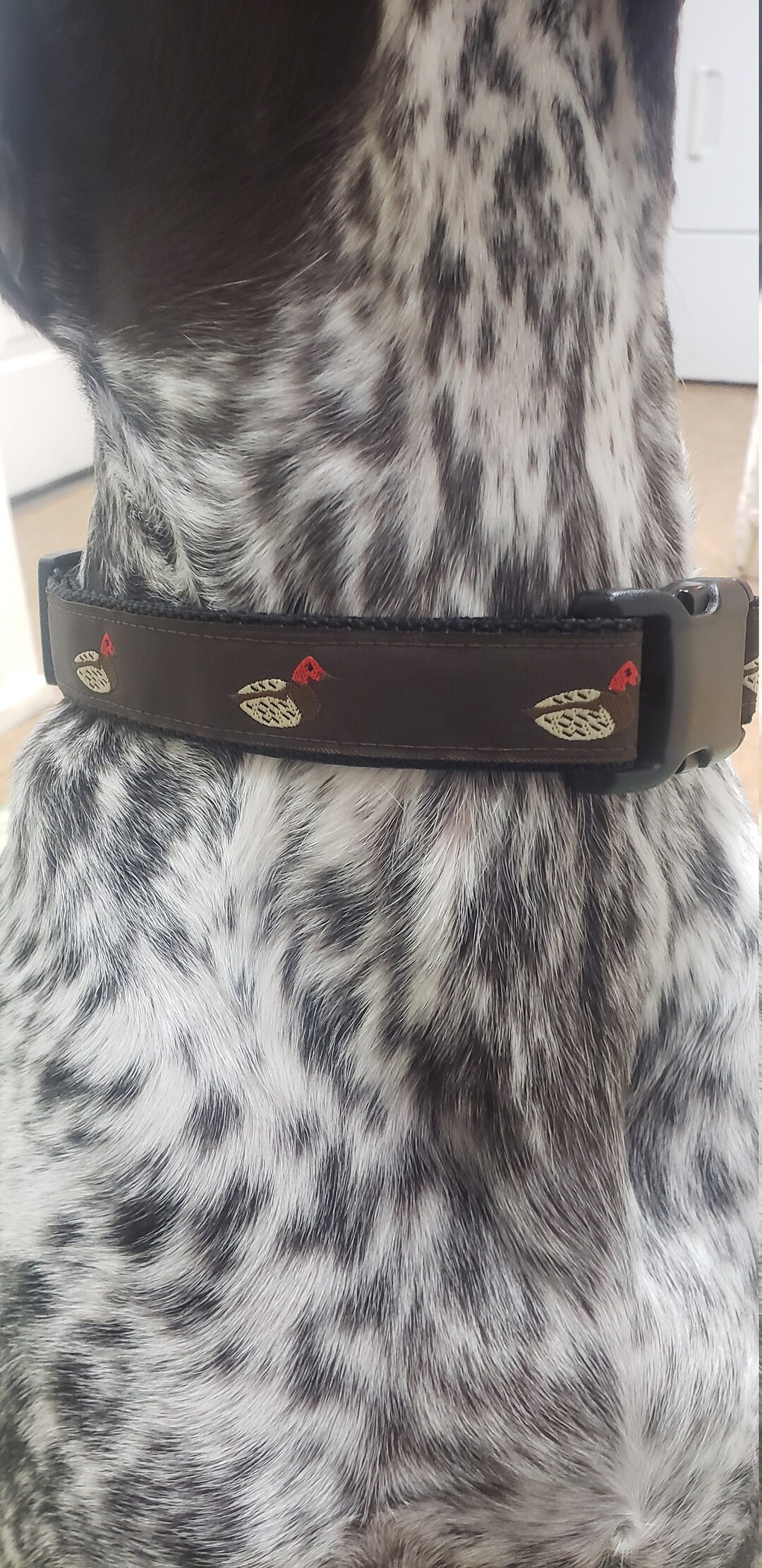 Duck Collar With Bow Tie. King Collar. Brown Background With - Etsy