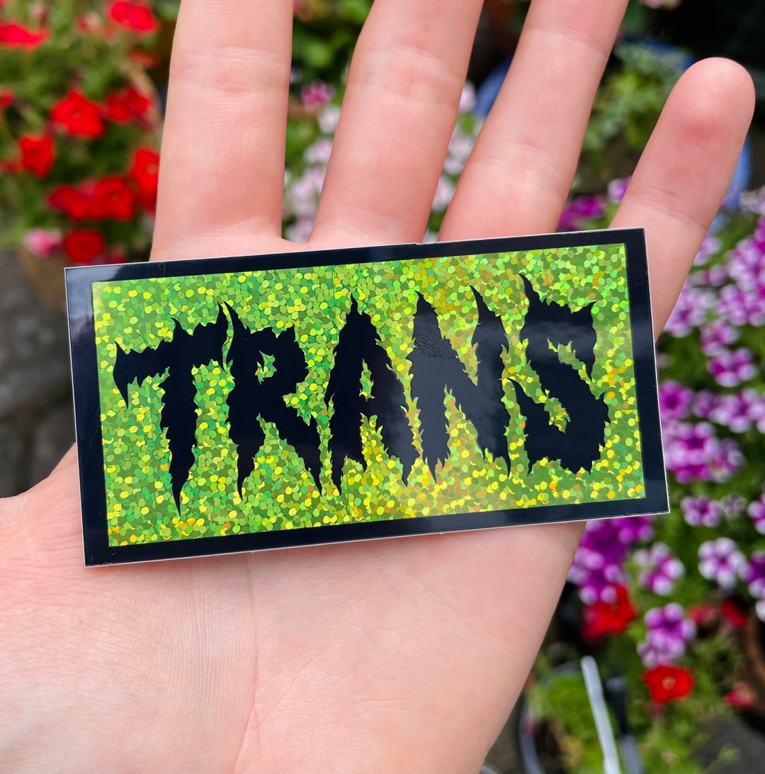 Trans Holographic Vinyl Glitter Sticker // Transgender Non - Etsy