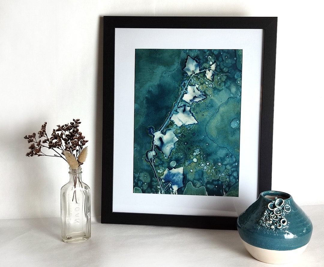 Cyanotype of Wild Plant bryone Dioecious, Framed, Unique Work - Etsy