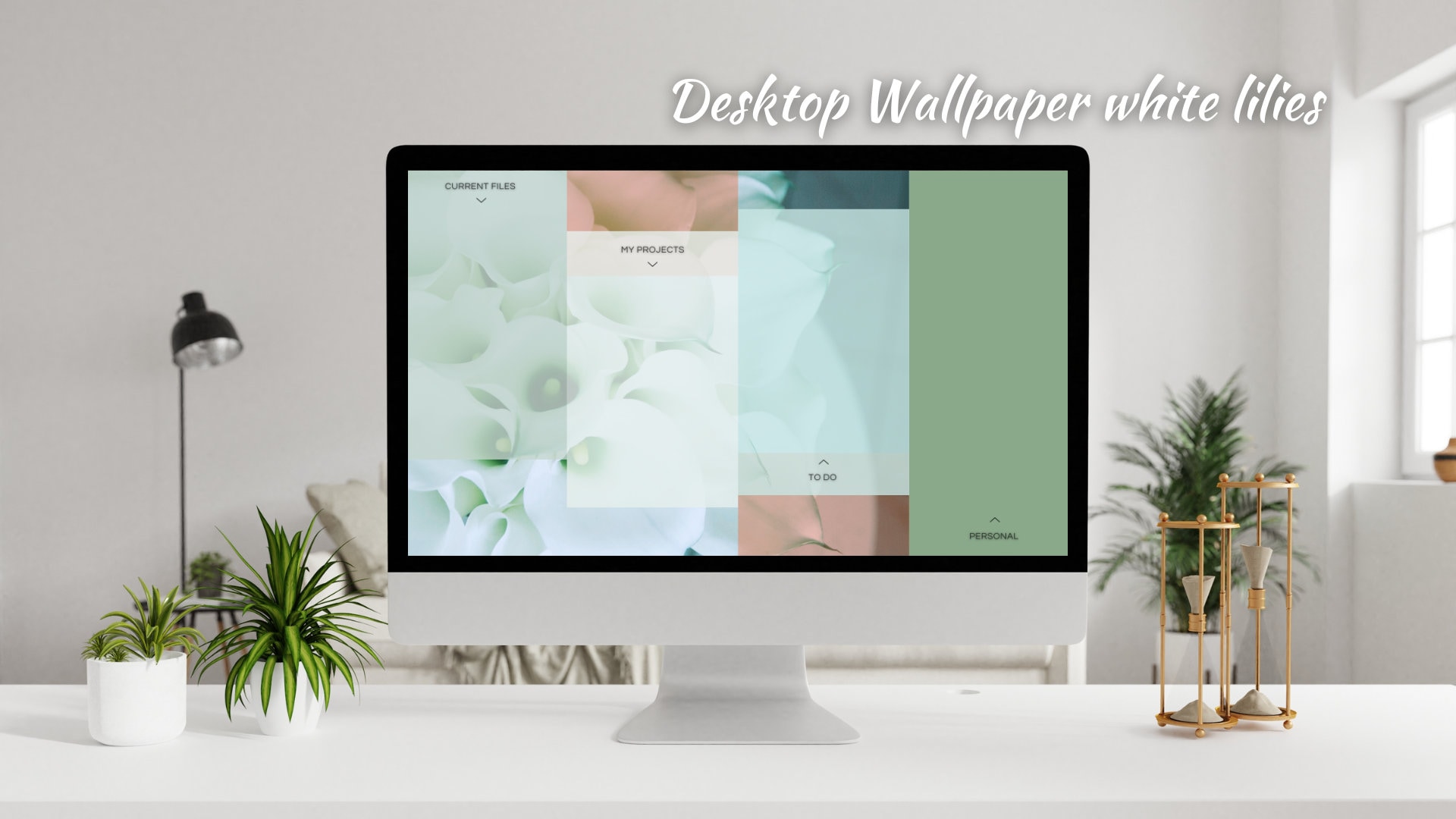 Desktop Screen Organizers Design