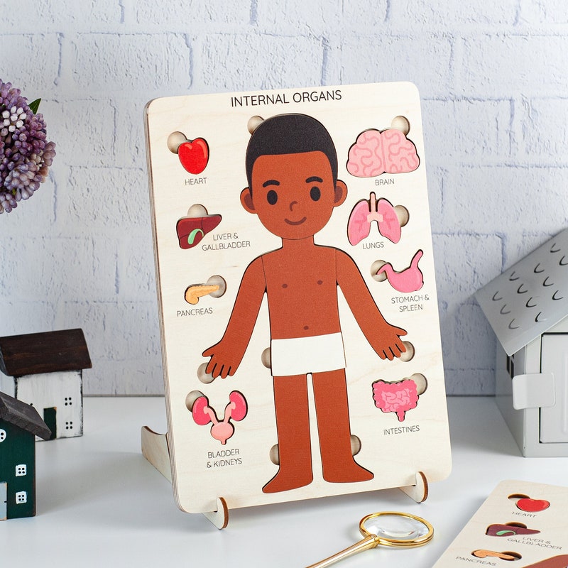 Human Body Puzzle - Etsy
