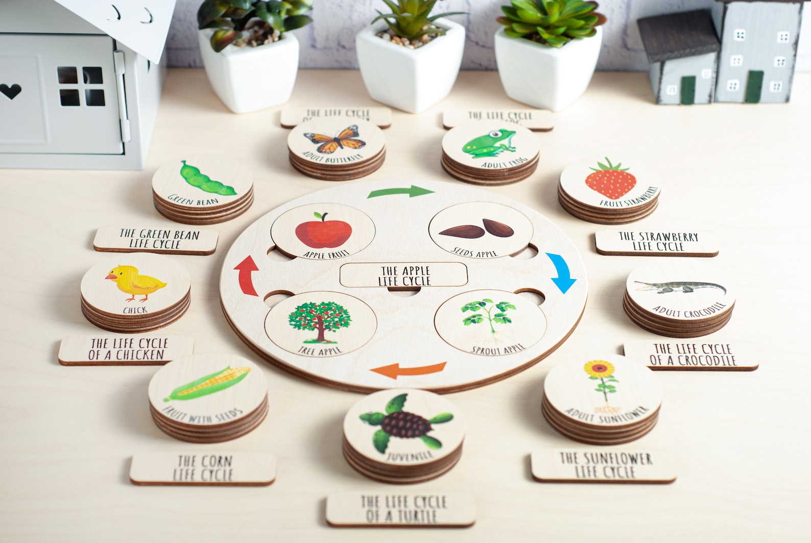 Montessori Life Cycle Puzzle Montessori Nature Educational - Etsy