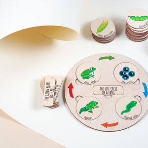 Montessori Life Cycle Puzzle, Montessori Nature Educational Toys ...
