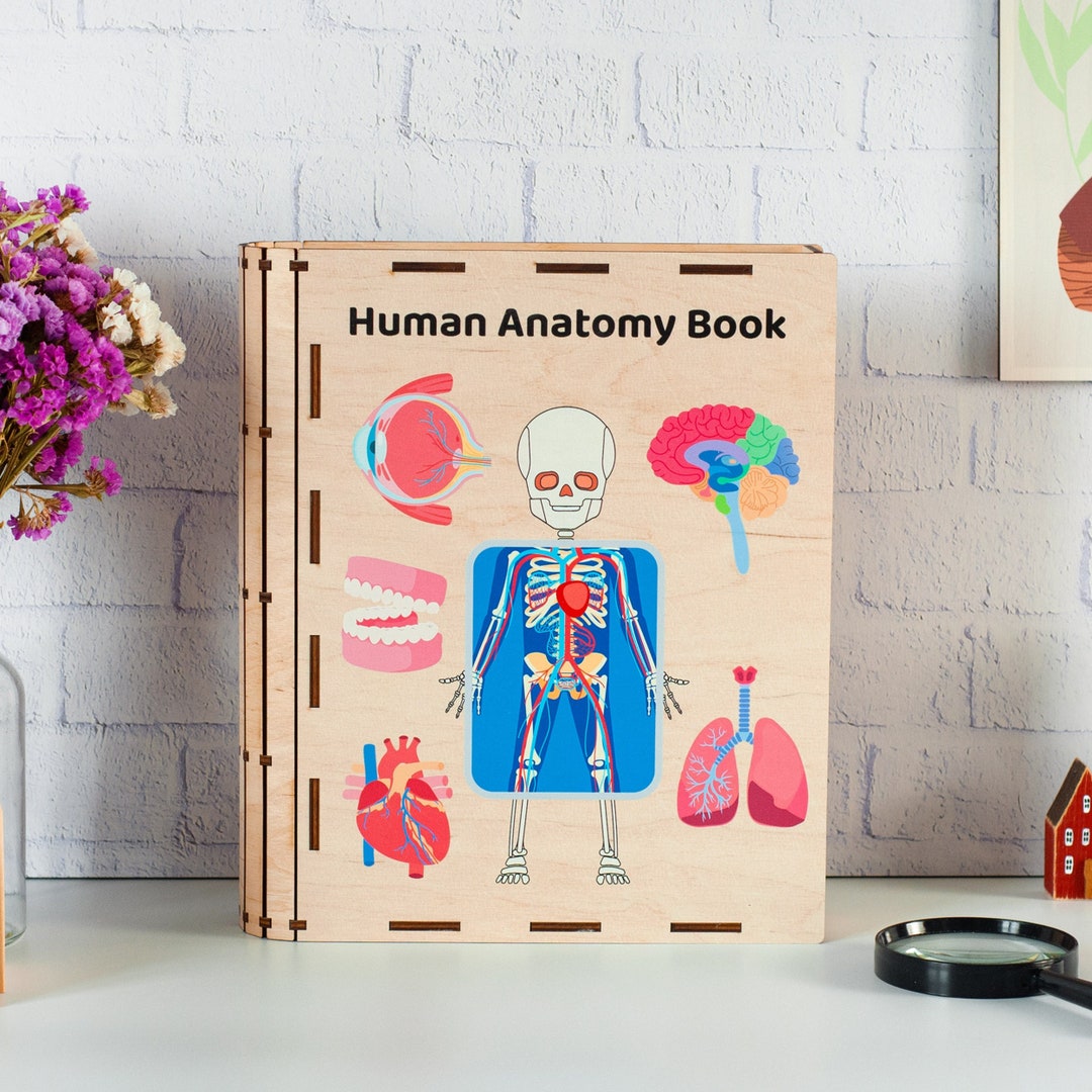 Montessori Anatomy Book for Kids, Human Anatomy Body Puzzles ...