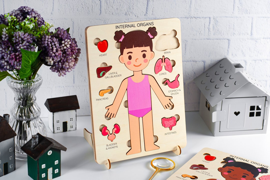 Learning Human Body Puzzle for Kids, Toddler Anatomy Jigsaw Puzzle ...