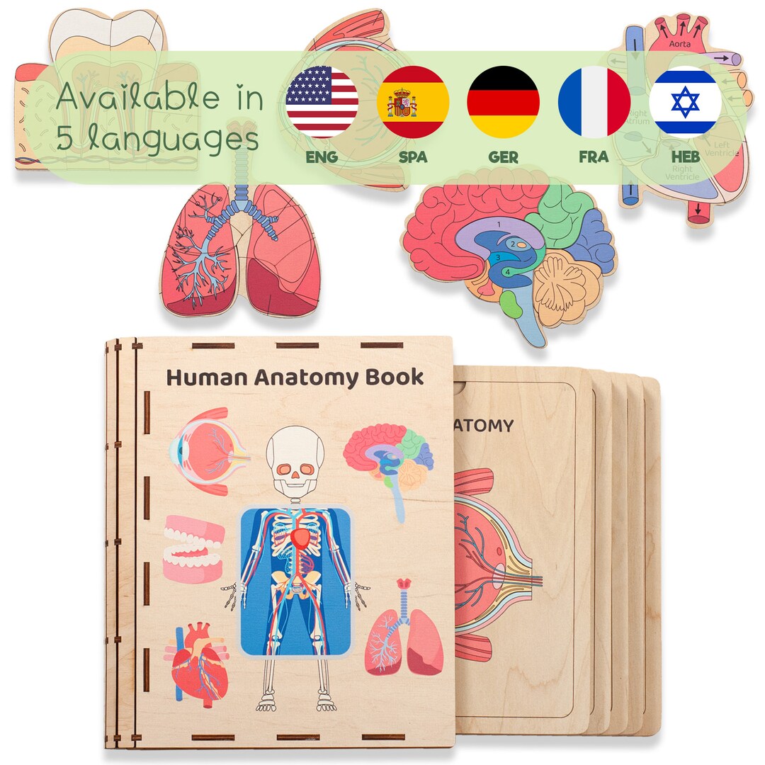 Wooden Human Anatomy Puzzle for Kids, Anatomy Busy Book, Montessori Toy ...