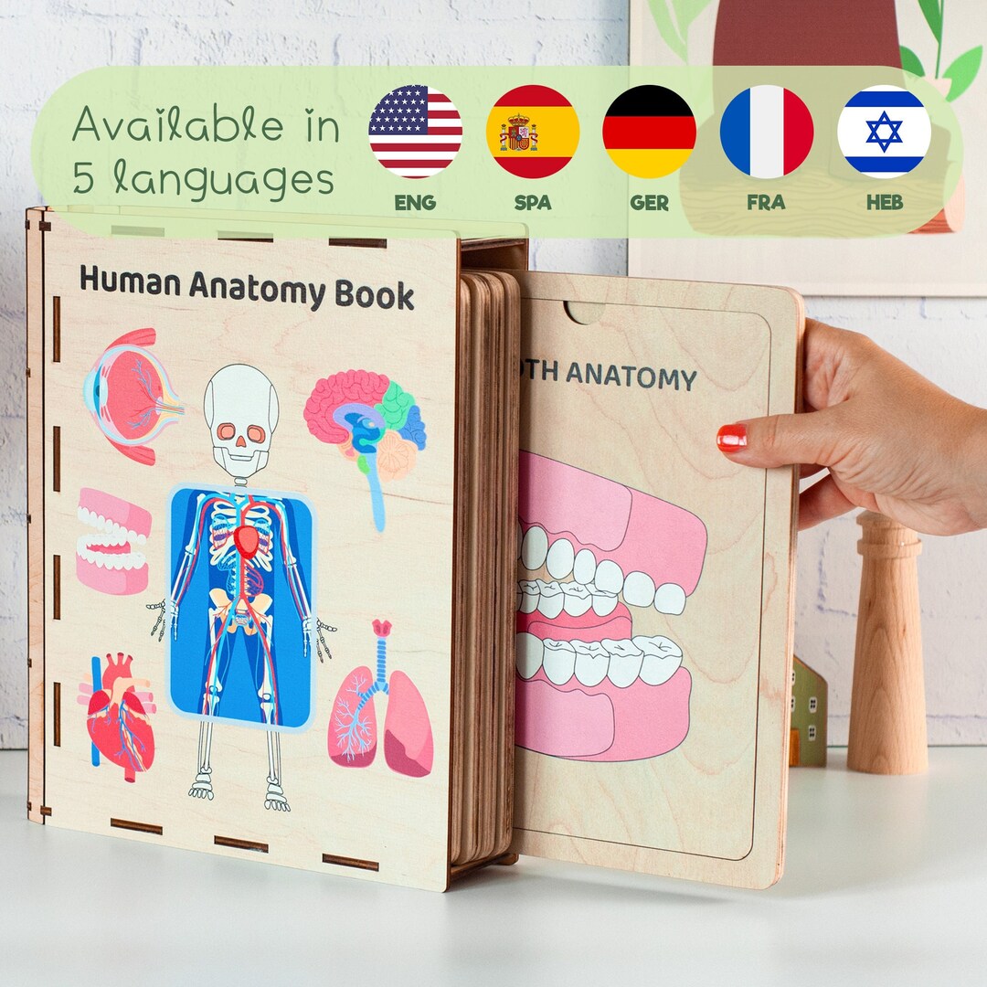 Human Anatomy Wooden Book for Kids, Learning Human Organs Puzzle ...